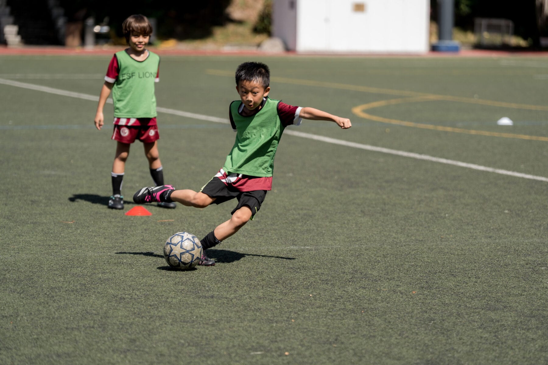 Spring Sensation - Spring Camp 2024